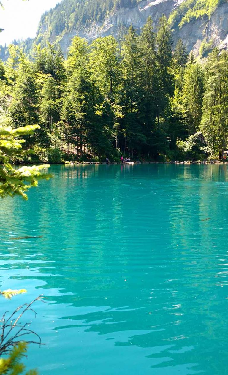 Blausee: o lago azul incrível da Suíça! - Apure Guria